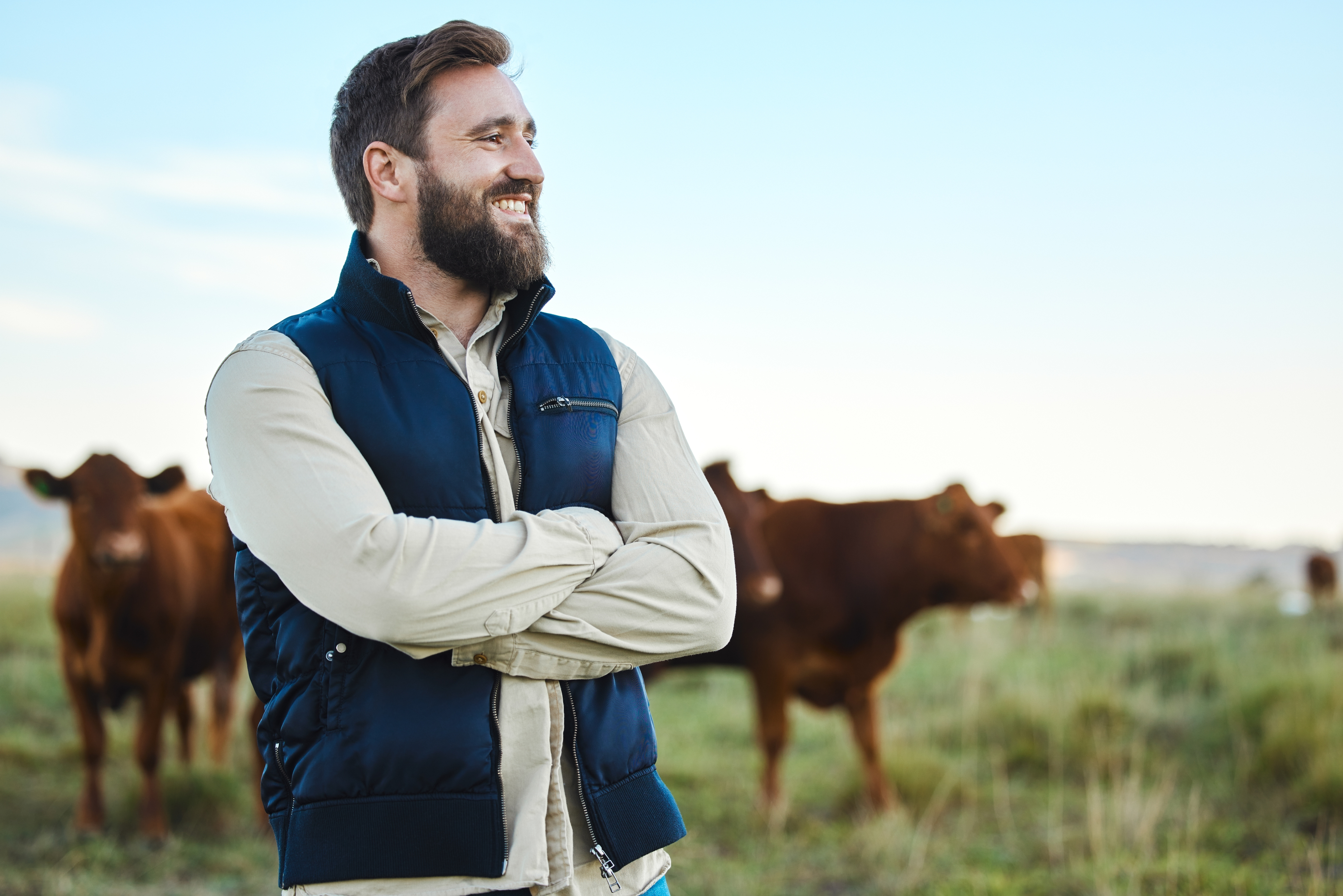 TOXOVAX® - MSD Animal Health United Kingdom