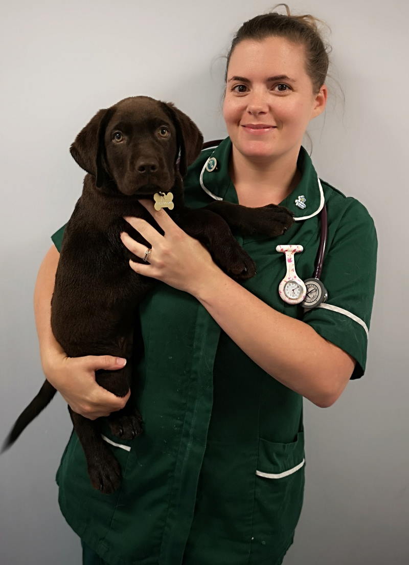 Vet Nurse Awarded First Ever MSD Animal Health Vet Nurse Research ...